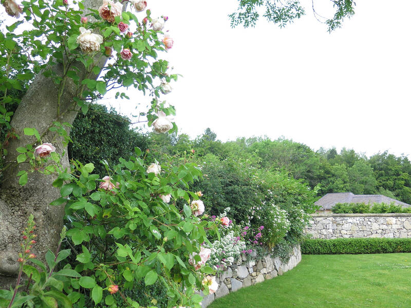 Ash Tree House | Janey Butler Studio